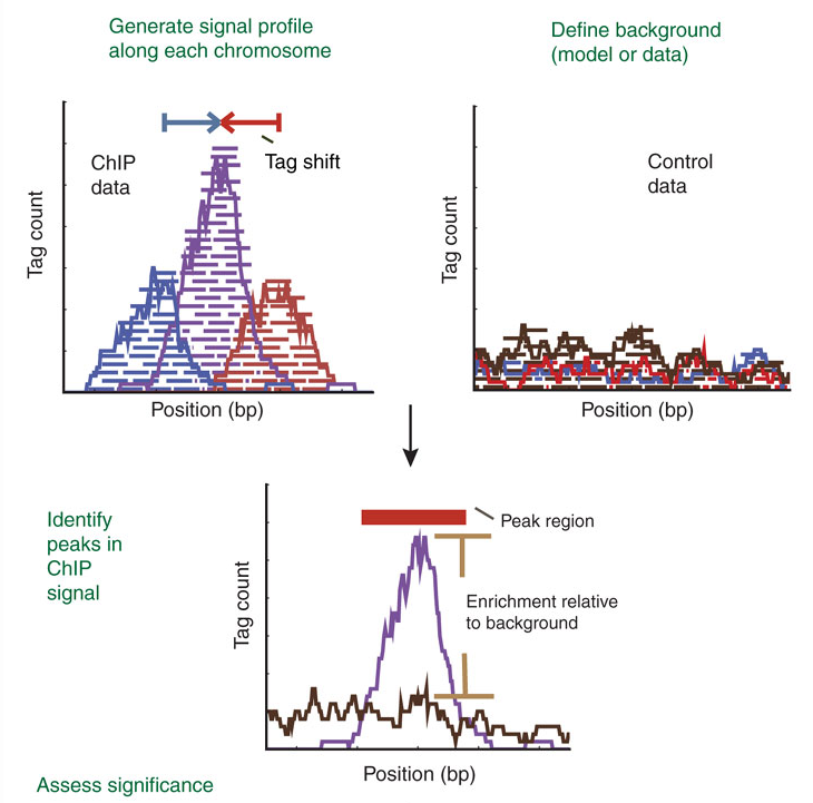 2024 Bioinformatics Workshop - Day 1